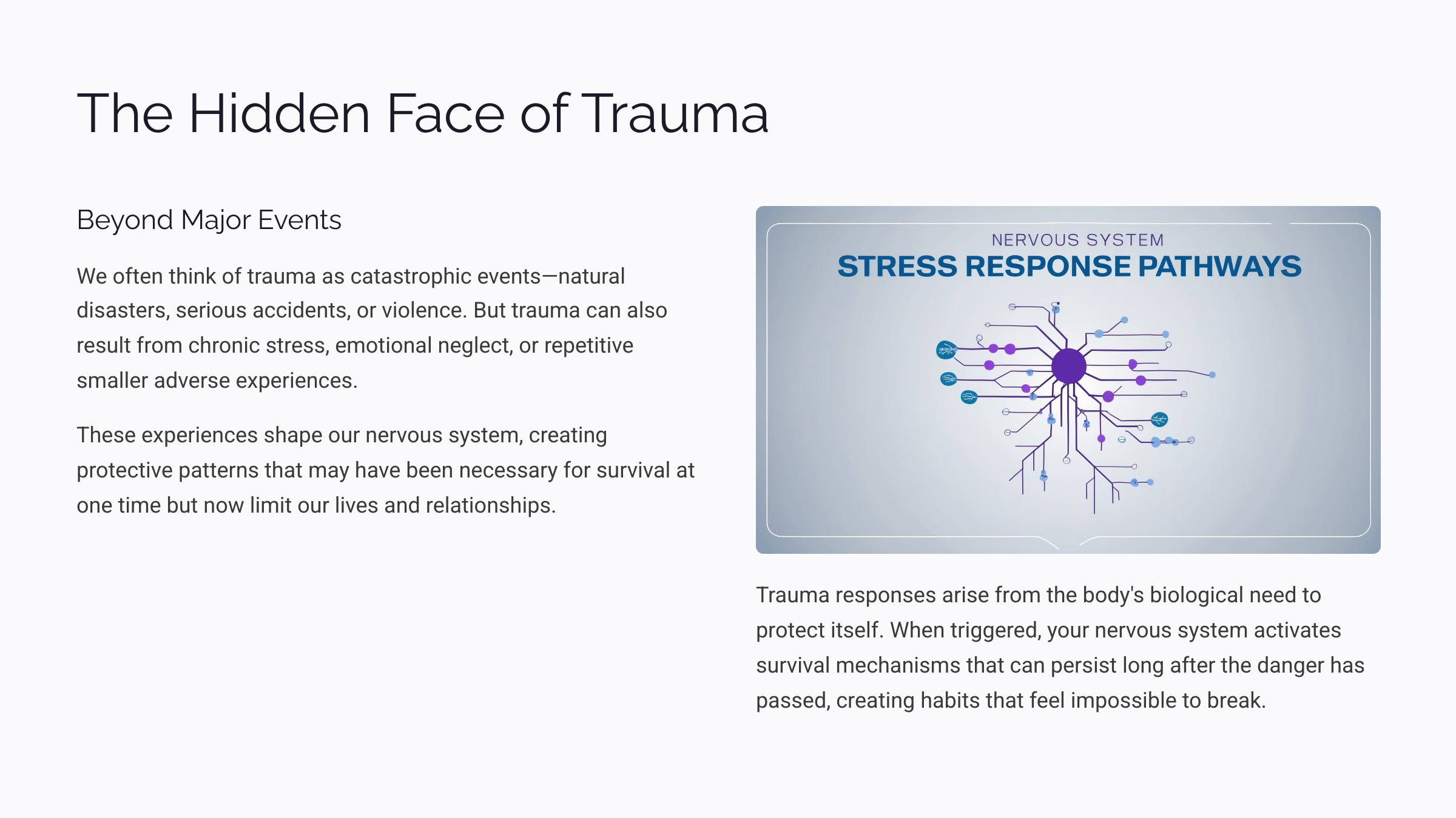10 Surprising Trauma Responses You Didn’t Know Were Controlling Your ...